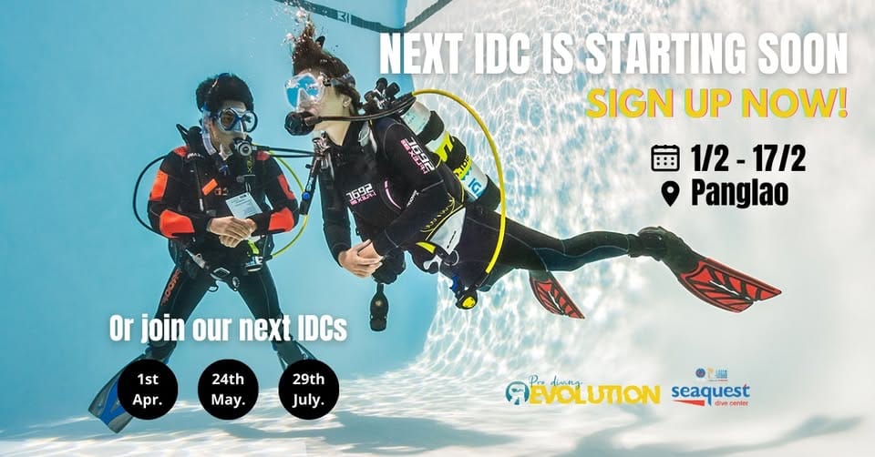 Find DIVE Jobs with SCUBA JOBS WORLDWIDE today!!